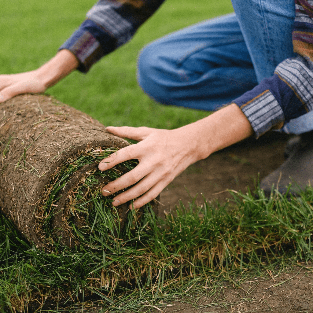 Revamp, Revive, and Re-turf Your Lawn: A Step by Step Guide | Ryno Hire