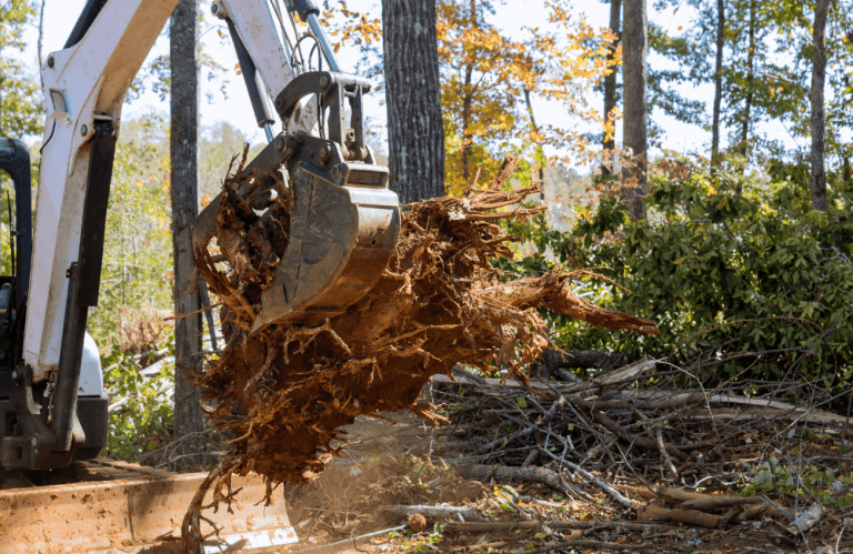 How to Easily Prepare Your Yard For Bushfire Season